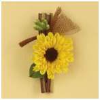 Clinton Florist :: Oak Ridge Florist :: Knoxville Flowers :: Clinton ...